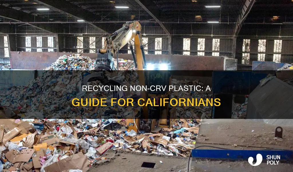 Recycling Non-Crv Plastic: A Guide For Californians | ShunPoly