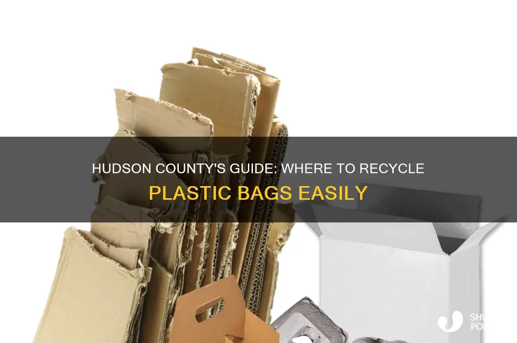 Hudson County's Guide: Where To Recycle Plastic Bags Easily | ShunPoly