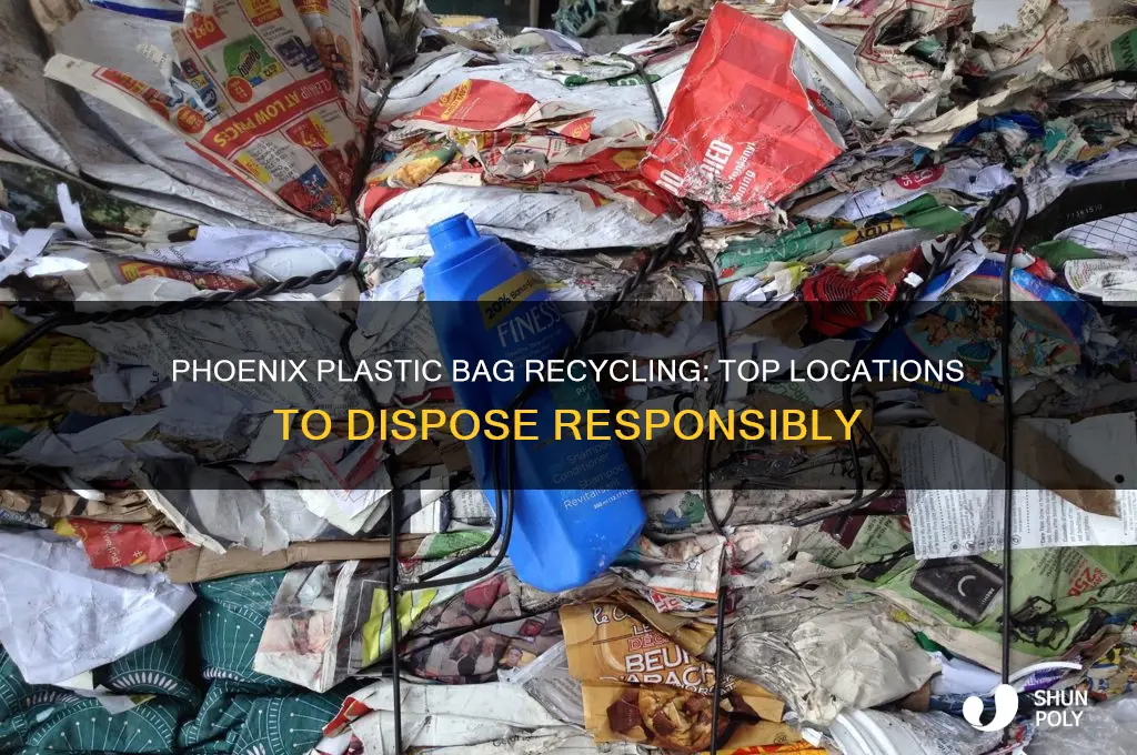 Phoenix Plastic Bag Recycling: Top Locations To Dispose Responsibly ...
