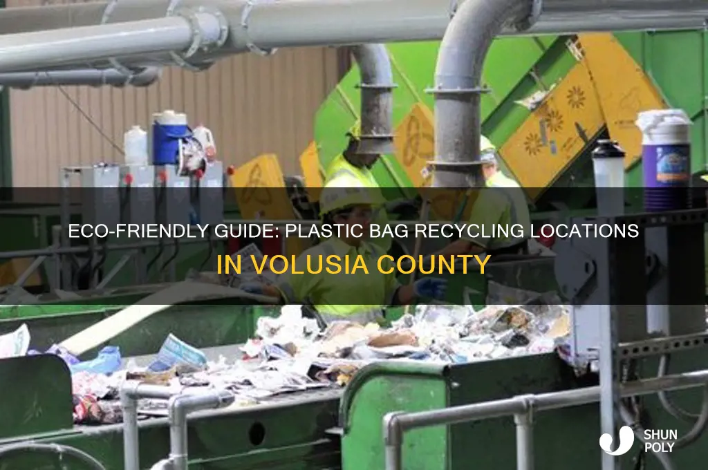 Eco-Friendly Guide: Plastic Bag Recycling Locations In Volusia County ...