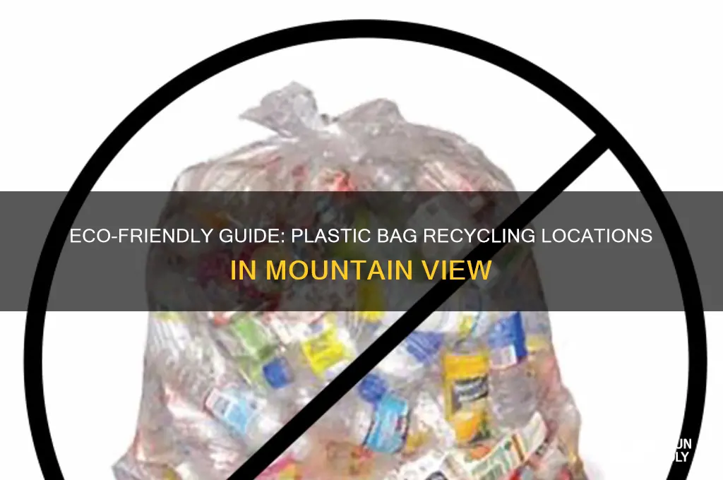 Eco-Friendly Guide: Plastic Bag Recycling Locations In Mountain View ...