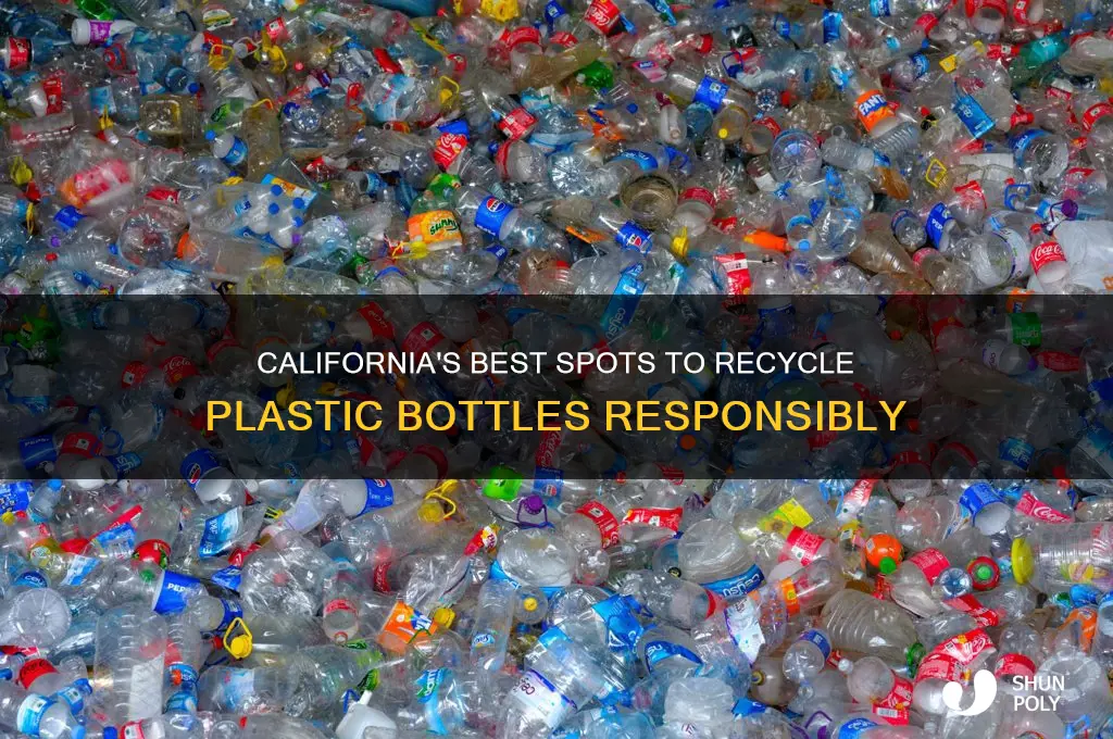 California's Best Spots To Recycle Plastic Bottles Responsibly | ShunPoly