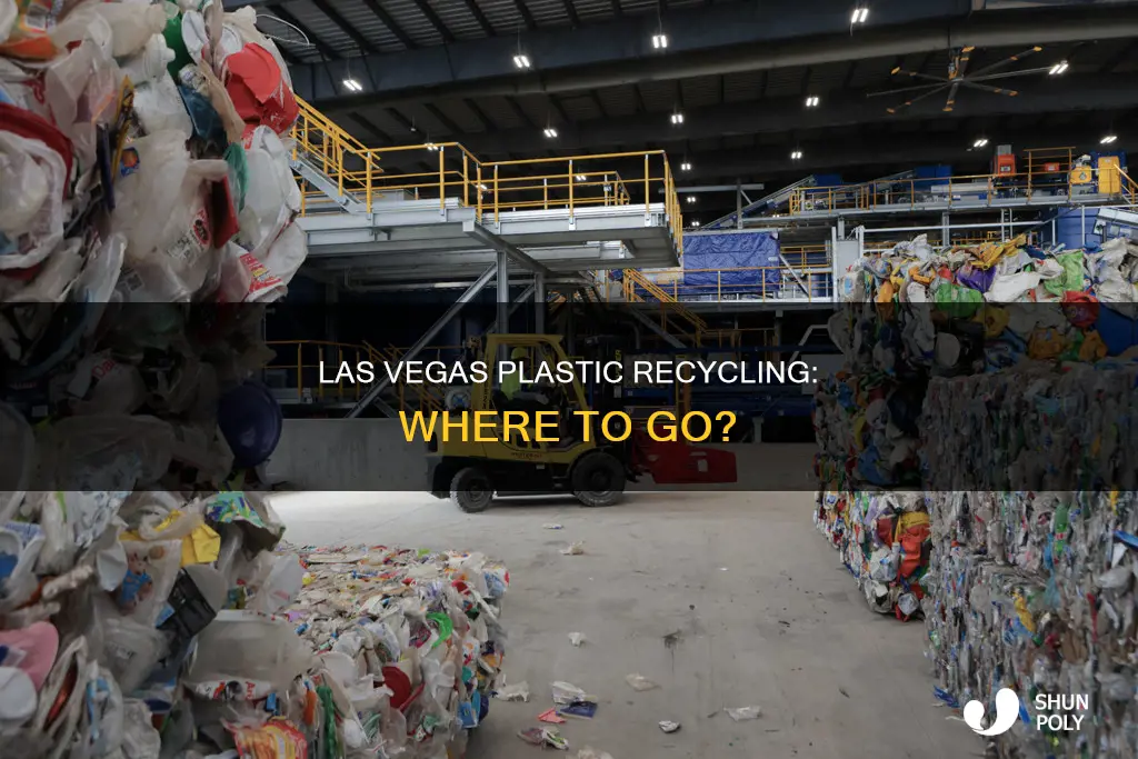 Las Vegas Plastic Recycling: Where To Go? | ShunPoly