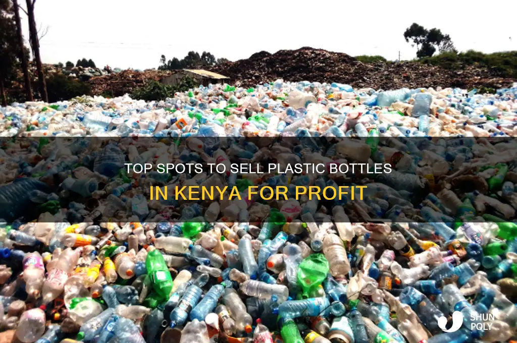 Top Spots To Sell Plastic Bottles In Kenya For Profit | ShunPoly