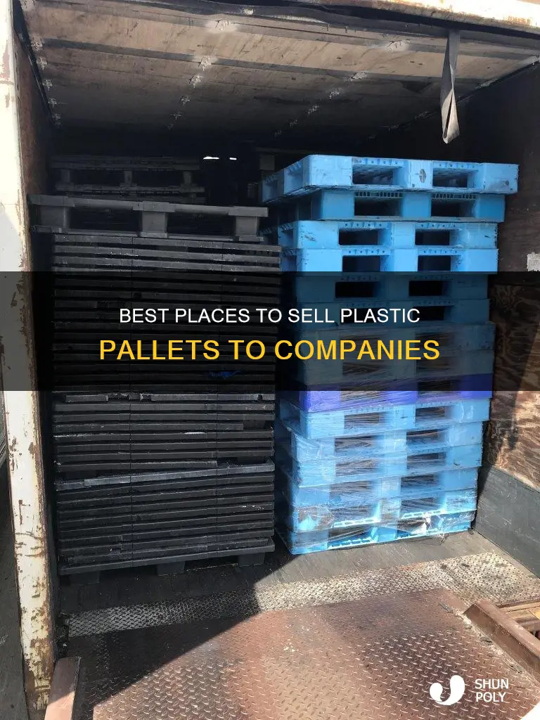 Best Places To Sell Plastic Pallets To Companies | ShunPoly