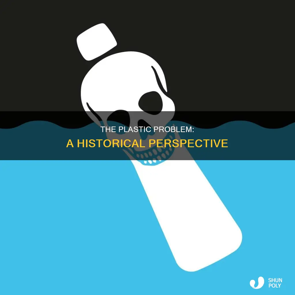 The Plastic Problem: A Historical Perspective | ShunPoly