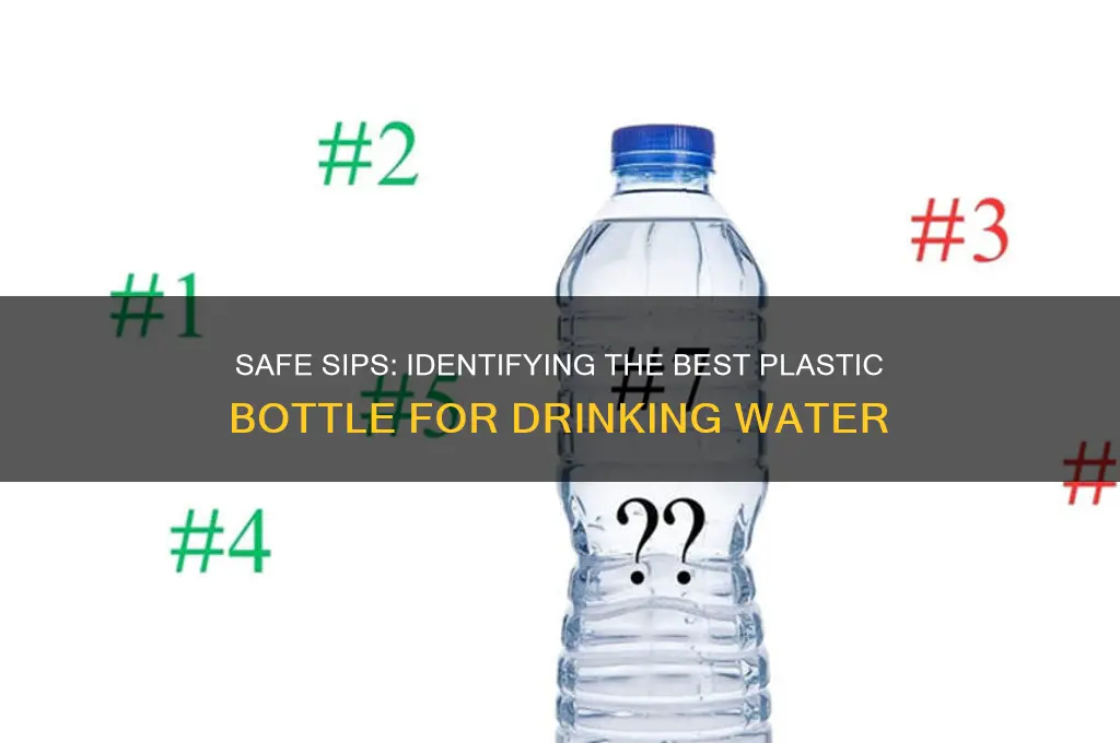 Safe Sips: Identifying The Best Plastic Bottle For Drinking Water ...