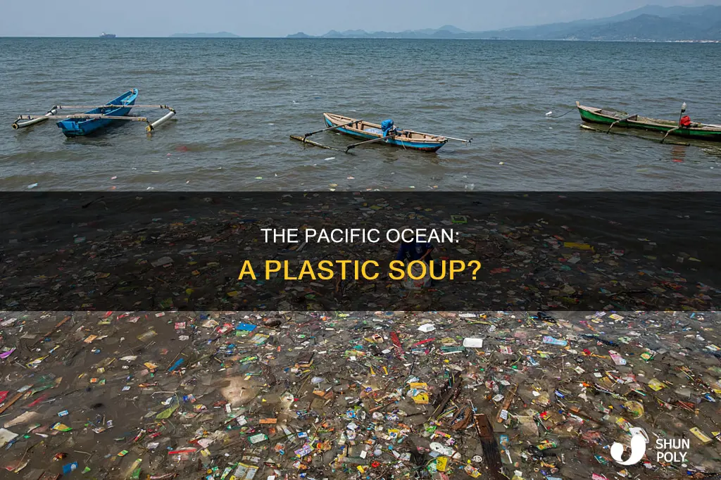 The Pacific Ocean: A Plastic Soup? | ShunPoly