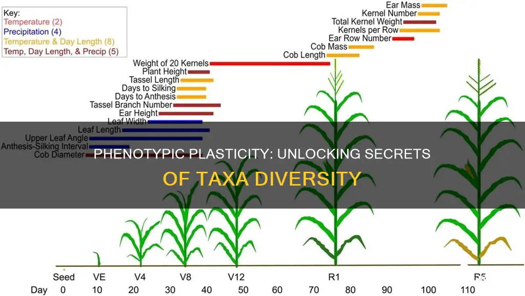 Phenotypic Plasticity: Unlocking Secrets Of Taxa Diversity | ShunPoly