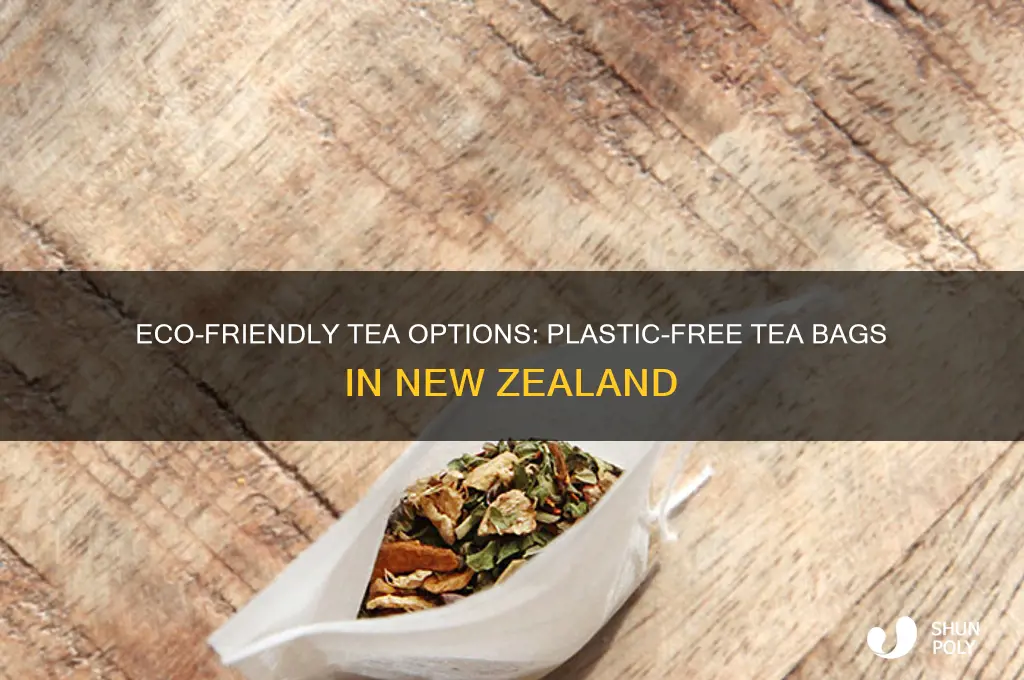 Eco-Friendly Tea Options: Plastic-Free Tea Bags In New Zealand | ShunPoly