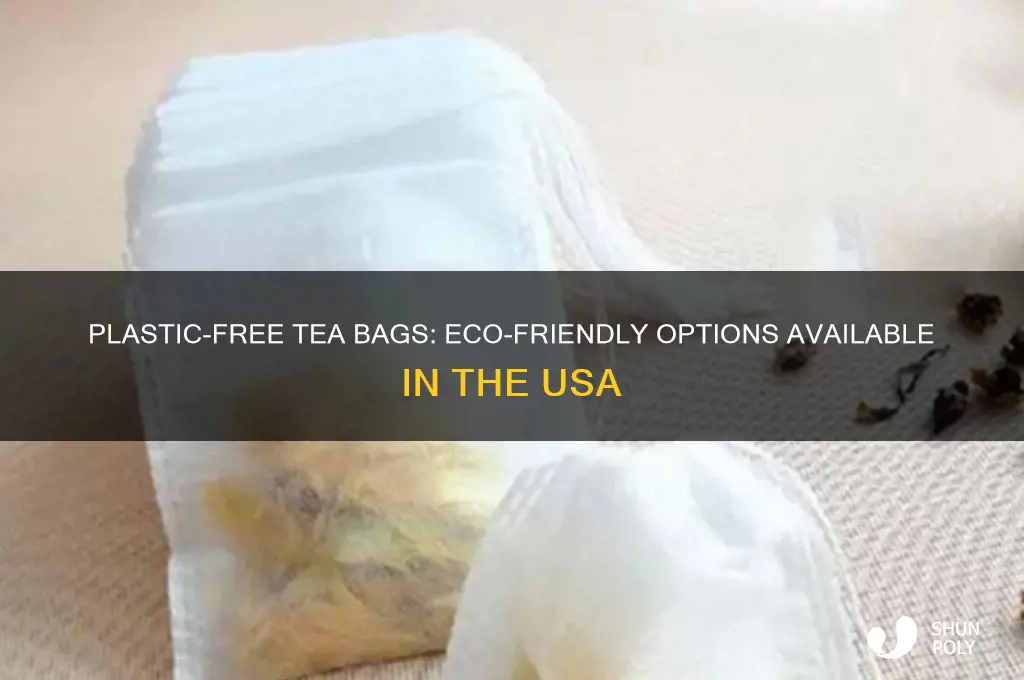 Plastic-Free Tea Bags: Eco-Friendly Options Available In The Usa | ShunPoly