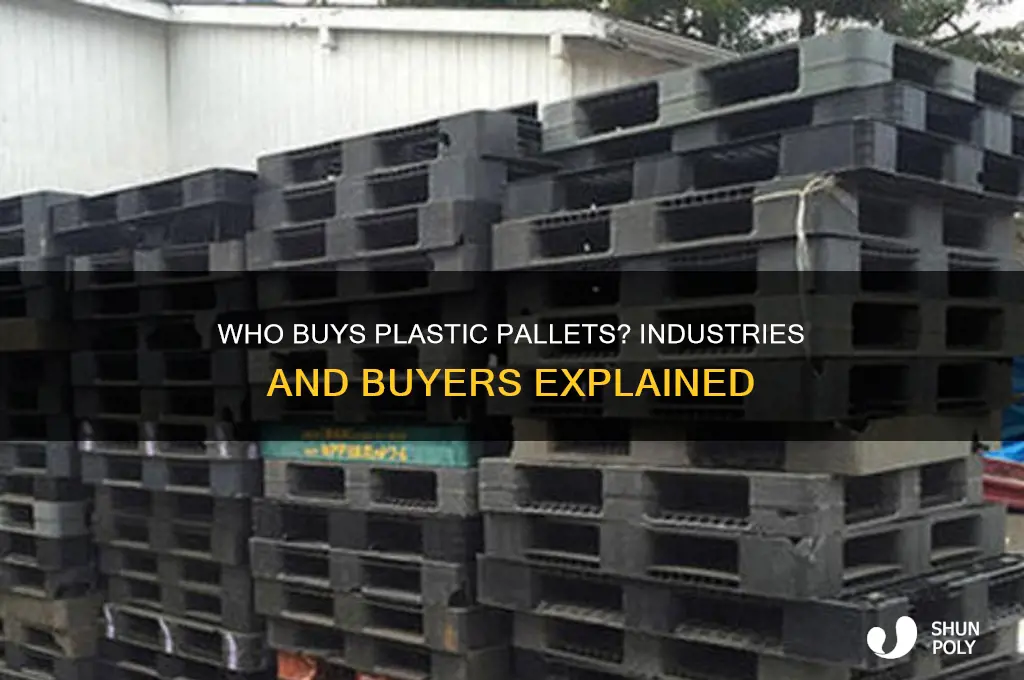 Who Buys Plastic Pallets? Industries And Buyers Explained | ShunPoly