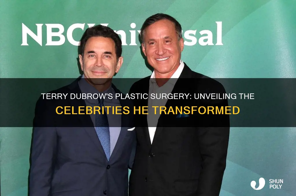 Terry Dubrow's Plastic Surgery: Unveiling The Celebrities He ...