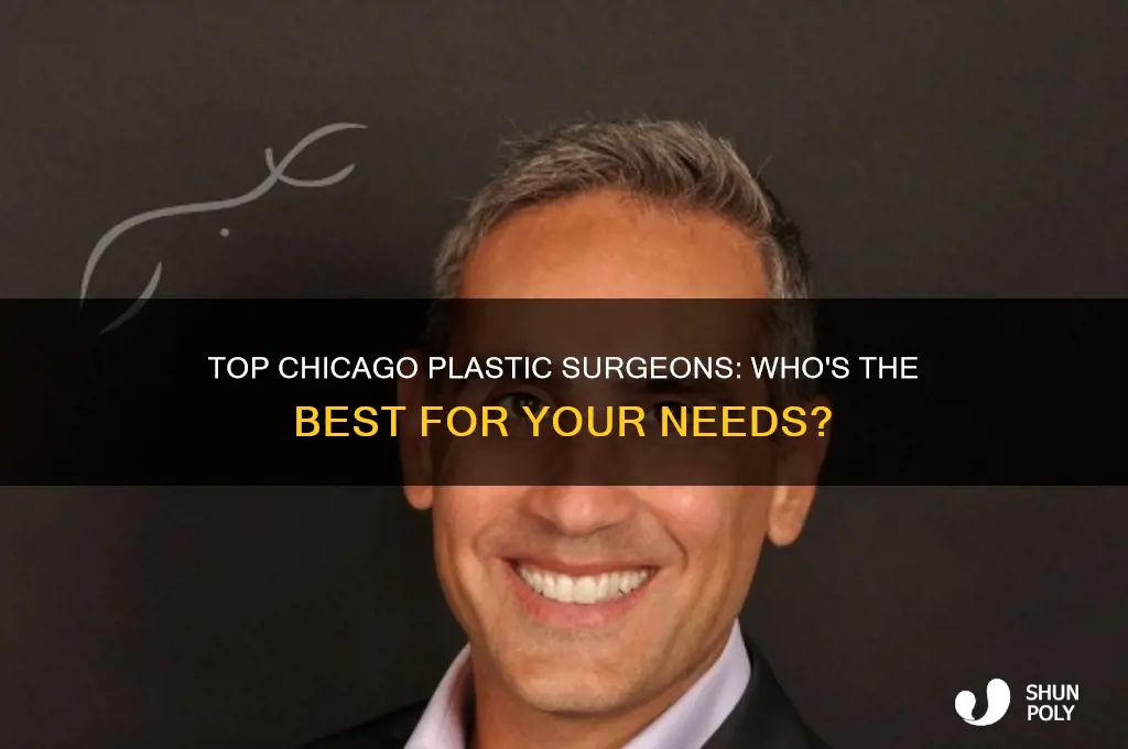 Top Chicago Plastic Surgeons: Who's The Best For Your Needs? | ShunPoly