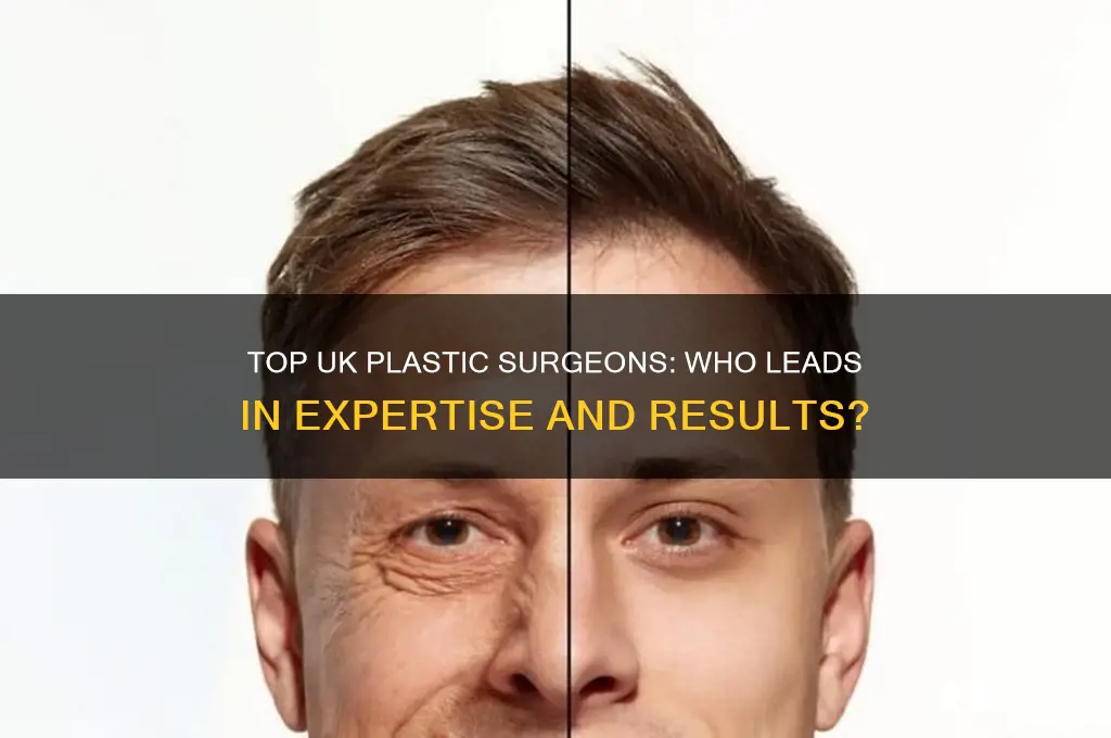 Top Uk Plastic Surgeons: Who Leads In Expertise And Results? | ShunPoly