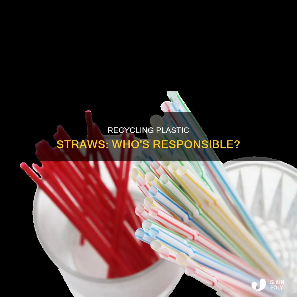 Recycling Plastic Straws: Who's Responsible? | ShunPoly