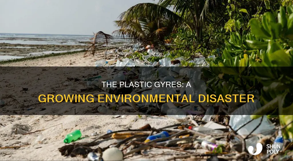The Plastic Gyres: A Growing Environmental Disaster | ShunPoly