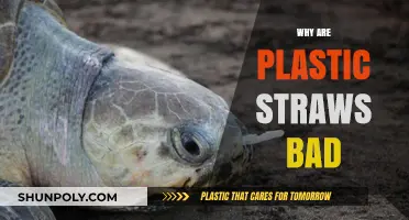 Are Plastic Capsules Harmful? Uncovering Health Risks And Alternatives ...