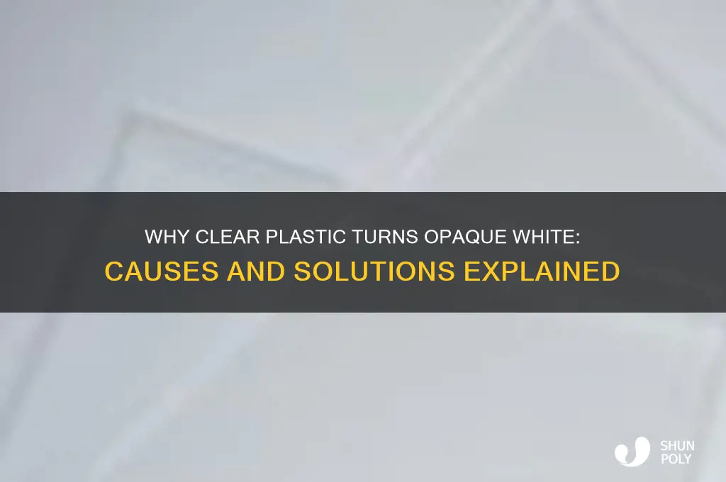 Why Clear Plastic Turns Opaque White: Causes And Solutions Explained ...