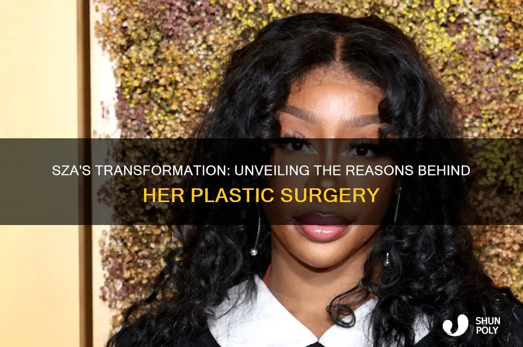 Sza's Transformation: Unveiling The Reasons Behind Her Plastic Surgery ...