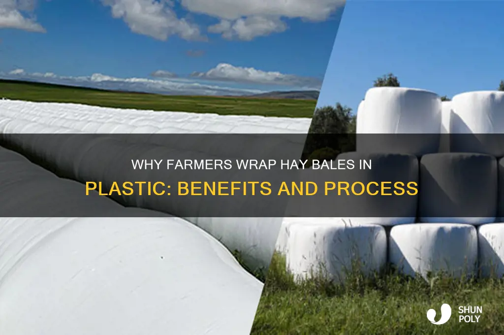 Why Farmers Wrap Hay Bales In Plastic: Benefits And Process | ShunPoly
