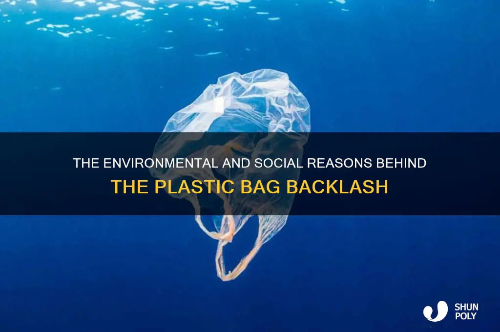 The Environmental And Social Reasons Behind The Plastic Bag Backlash ...