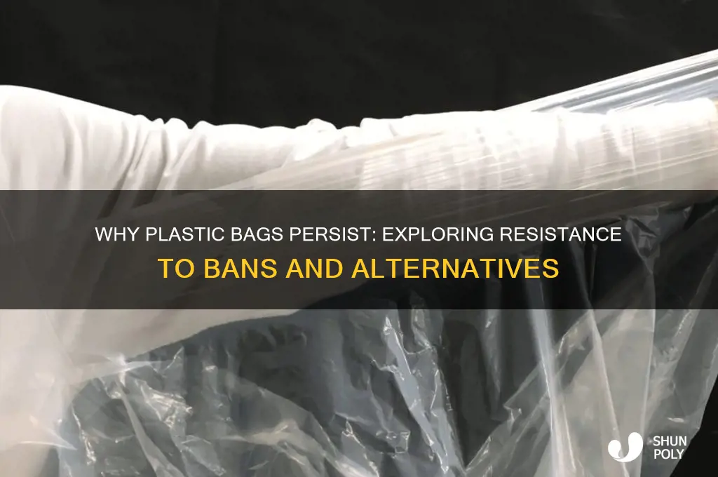 Why Plastic Bags Persist: Exploring Resistance To Bans And Alternatives ...