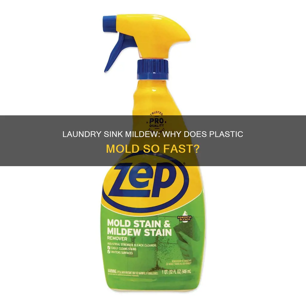 Laundry Sink Mildew: Why Does Plastic Mold So Fast? | ShunPoly