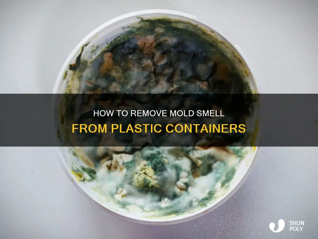 How To Remove Mold Smell From Plastic Containers | ShunPoly