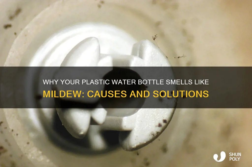 Why Your Plastic Water Bottle Smells Like Mildew: Causes And Solutions ...