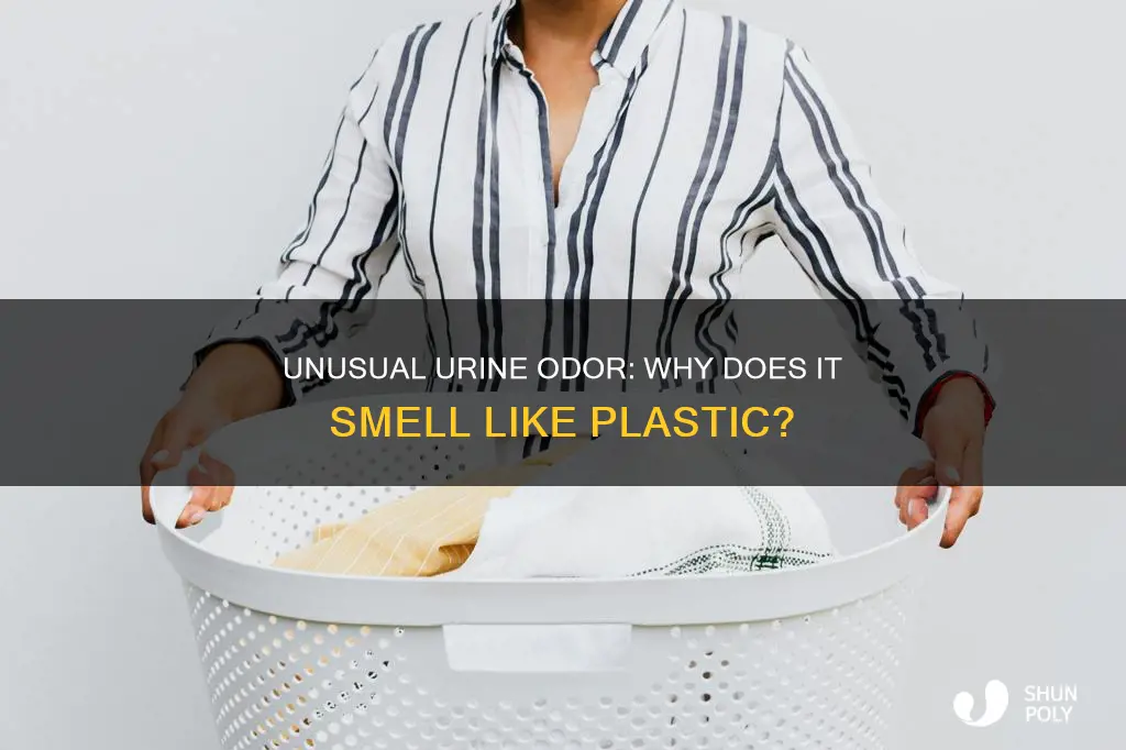 Unusual Urine Odor: Why Does It Smell Like Plastic? | ShunPoly
