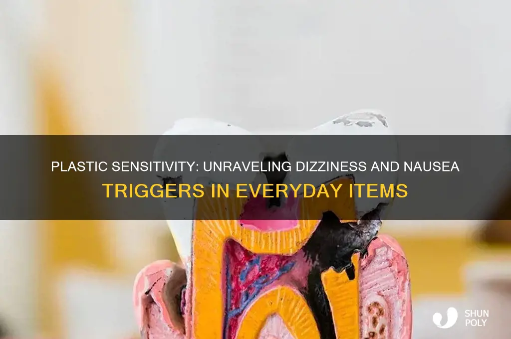 Plastic Sensitivity: Unraveling Dizziness And Nausea Triggers In ...