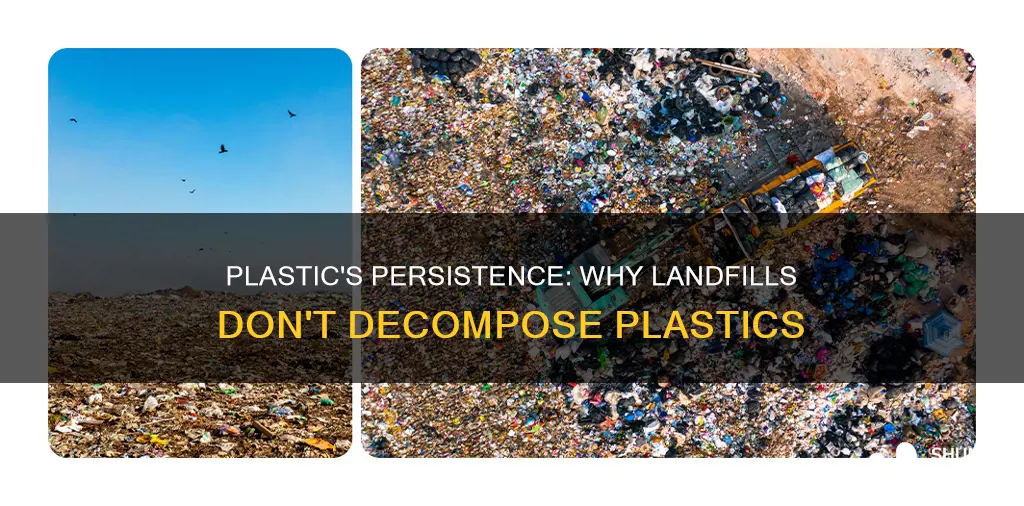 Plastic's Persistence: Why Landfills Don't Decompose Plastics | ShunPoly
