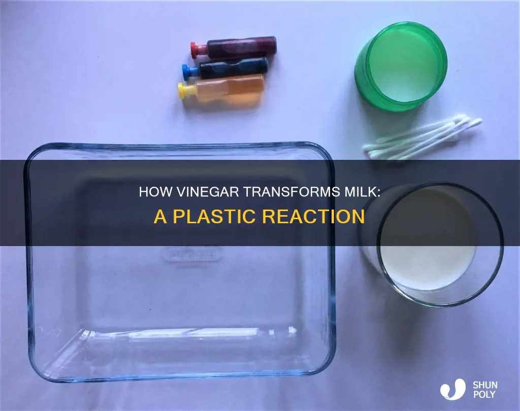 How Vinegar Transforms Milk: A Plastic Reaction | ShunPoly