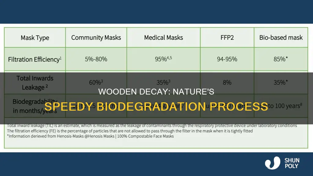 Wooden Decay: Nature's Speedy Biodegradation Process | ShunPoly
