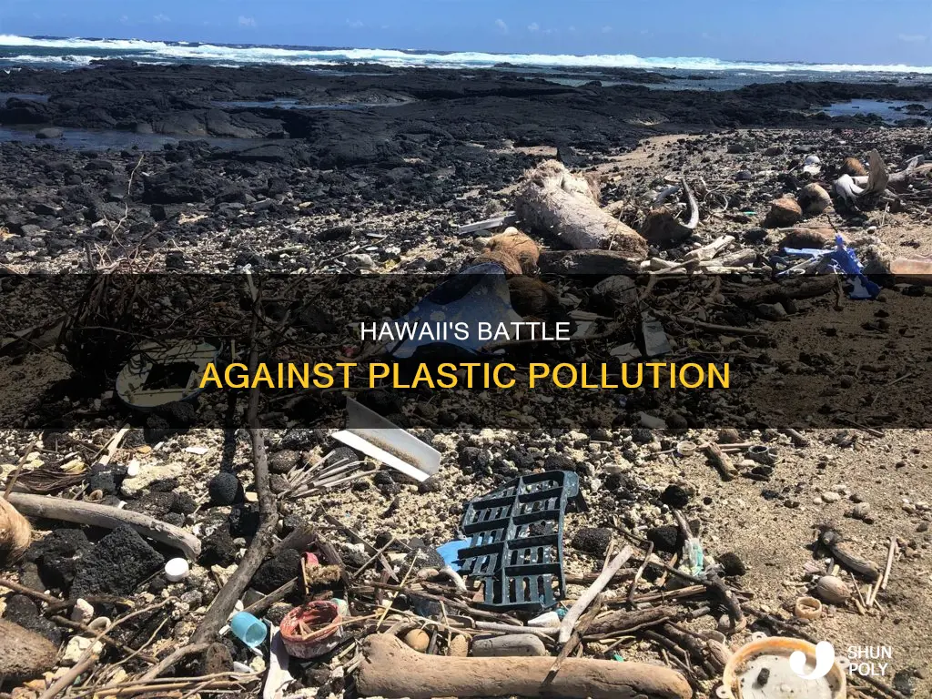 Hawaii's Battle Against Plastic Pollution | ShunPoly
