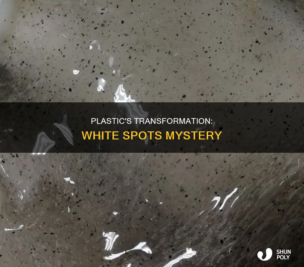 Plastic's Transformation: White Spots Mystery | ShunPoly