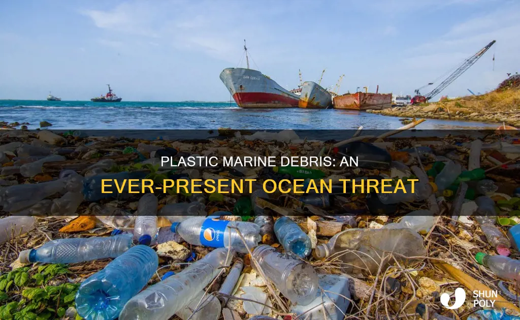 Plastic Marine Debris: An Ever-Present Ocean Threat | ShunPoly