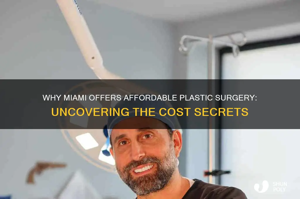 Why Miami Offers Affordable Plastic Surgery: Uncovering The Cost ...