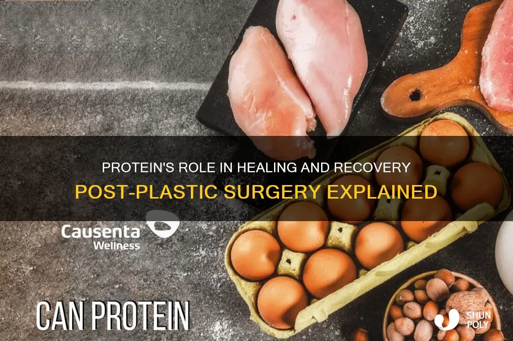 Protein's Role In Healing And Recovery Post-Plastic Surgery Explained ...
