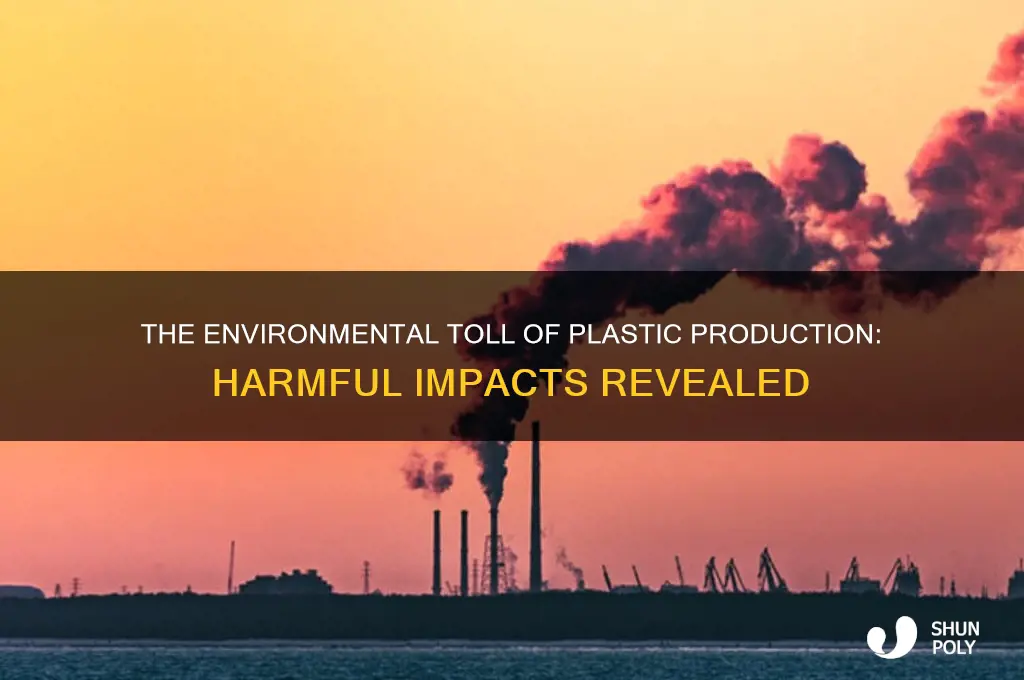 The Environmental Toll Of Plastic Production: Harmful Impacts Revealed ...