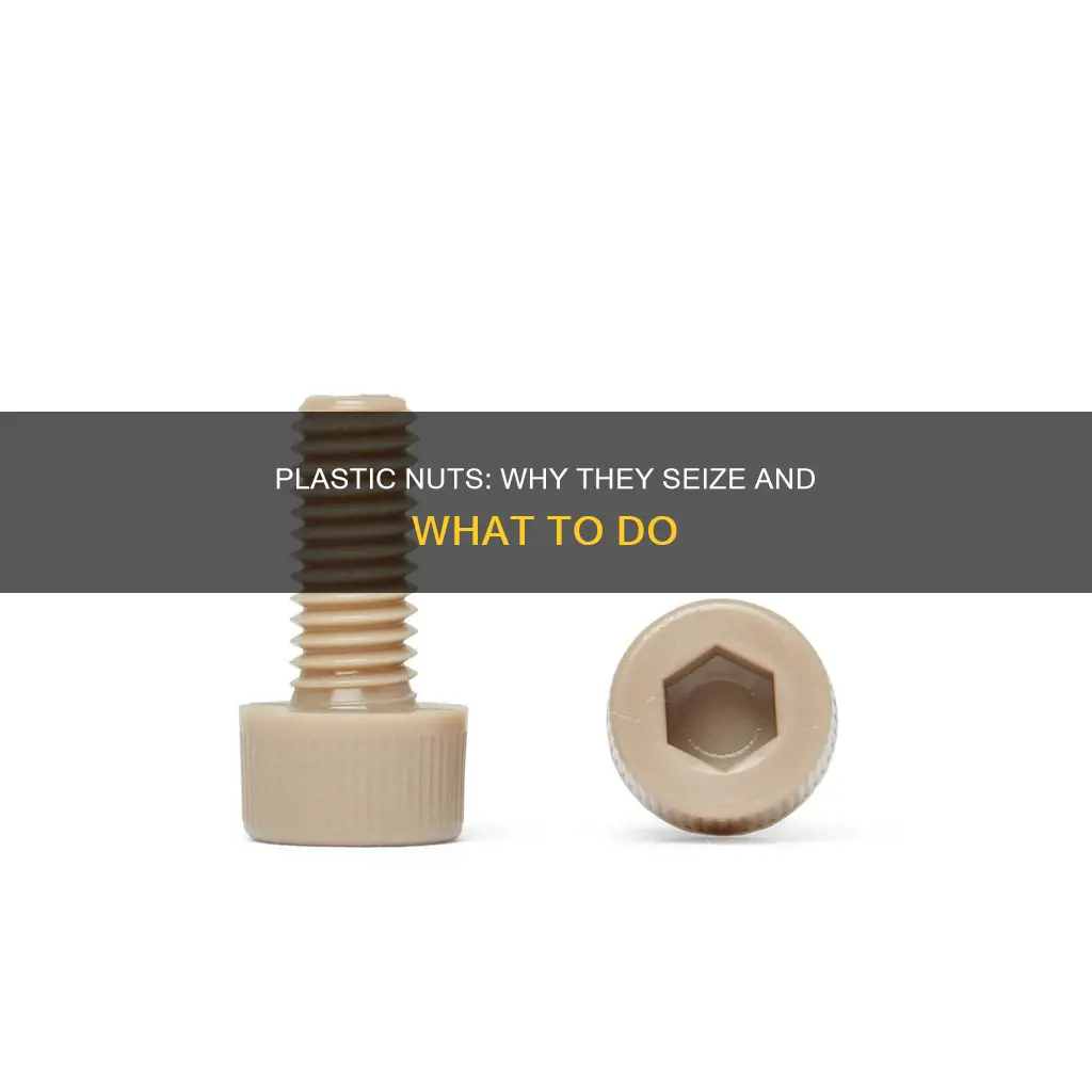 Plastic Nuts: Why They Seize And What To Do | ShunPoly