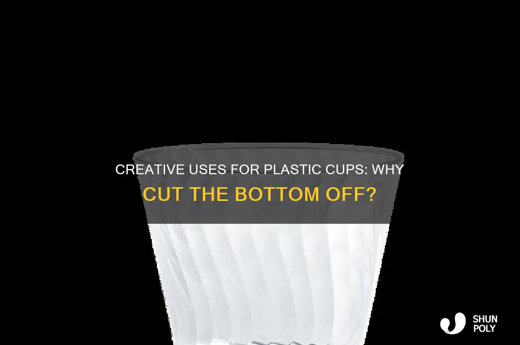 Creative Uses For Plastic Cups: Why Cut The Bottom Off? | ShunPoly