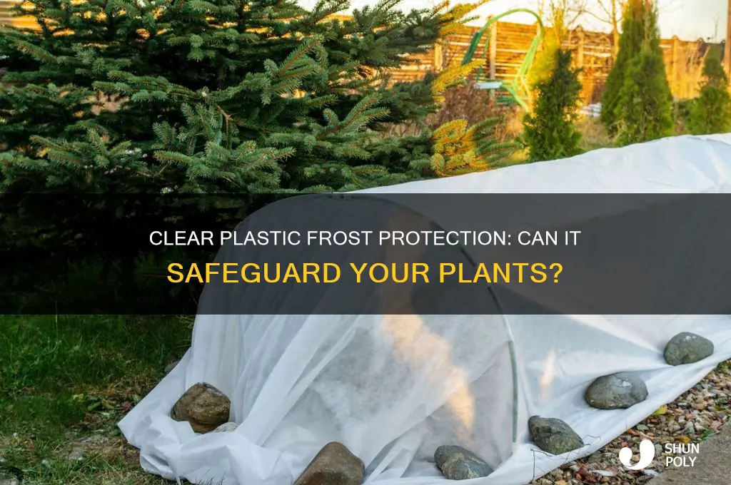 Clear Plastic Frost Protection: Can It Safeguard Your Plants? | ShunPoly
