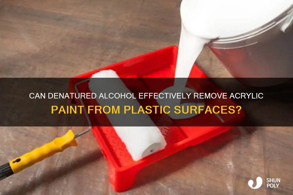 Will Denatured Alcohol Remove Paint