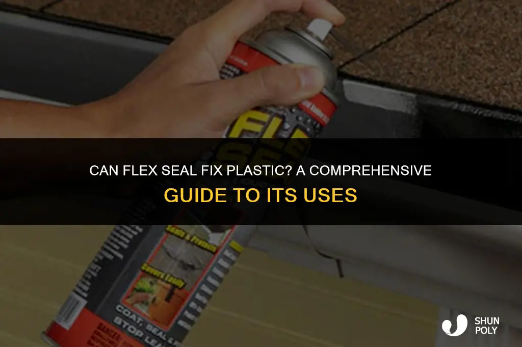 Can Flex Seal Fix Plastic? A Comprehensive Guide To Its Uses | ShunPoly