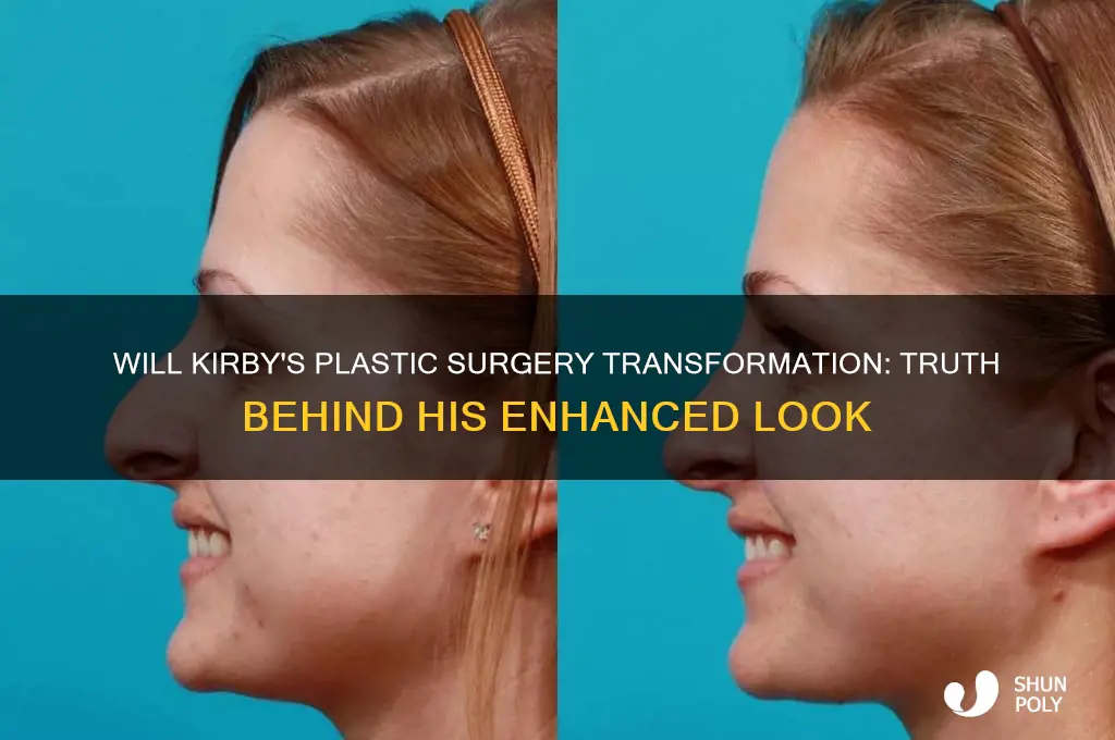 Will Kirby's Plastic Surgery Transformation: Truth Behind His Enhanced ...