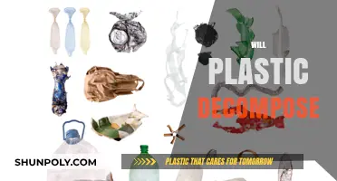 The Enduring Impact: How Long Will Plastic Last? | ShunPoly