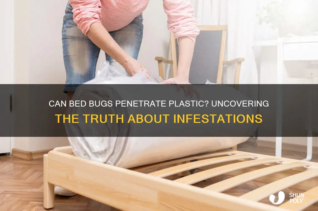 Can Bed Bugs Penetrate Plastic? Uncovering The Truth About Infestations ...