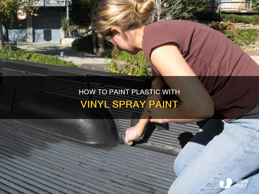 How To Paint Plastic With Vinyl Spray Paint | ShunPoly